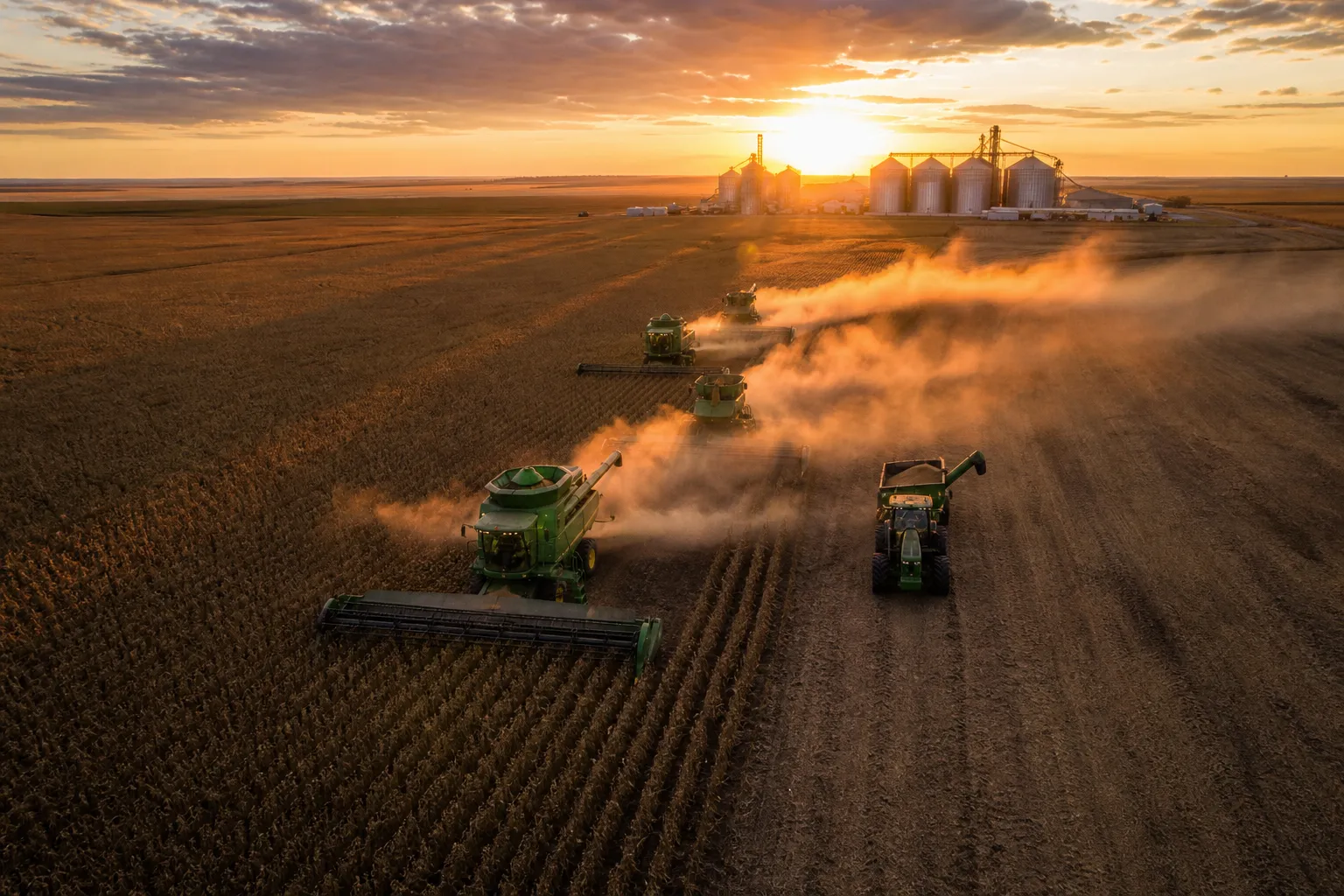 Cotação do soja Hoje, Gráficos e Notícias do Mercado | Agronews